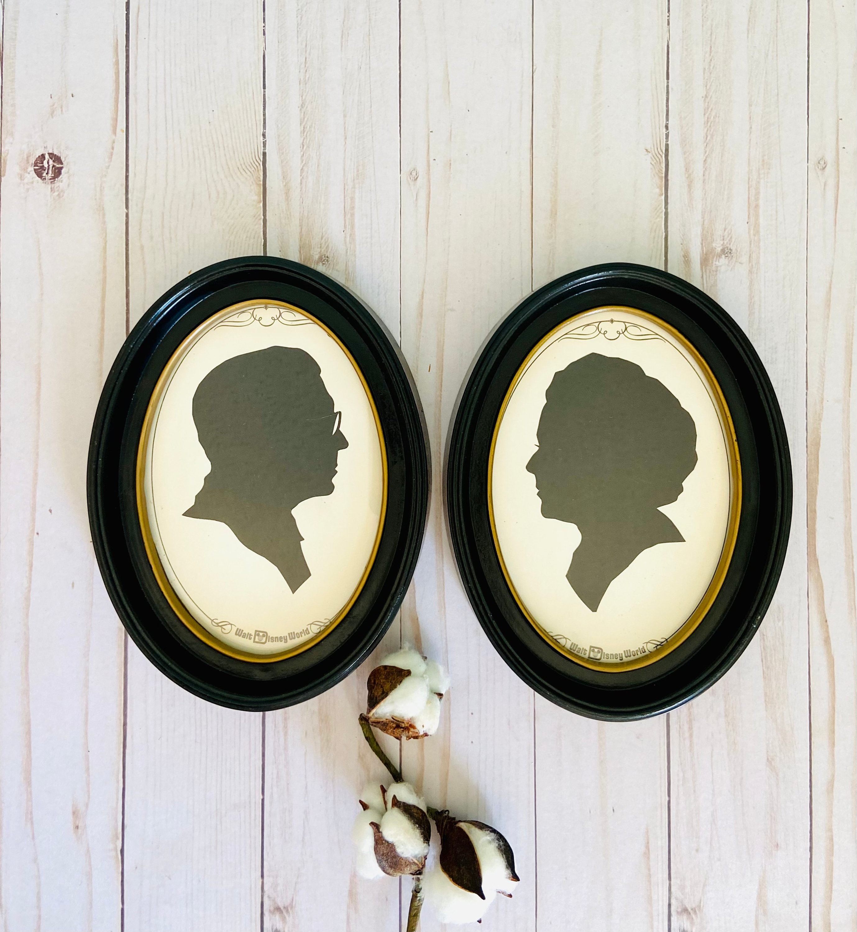 Disneyland Silhouette Frame