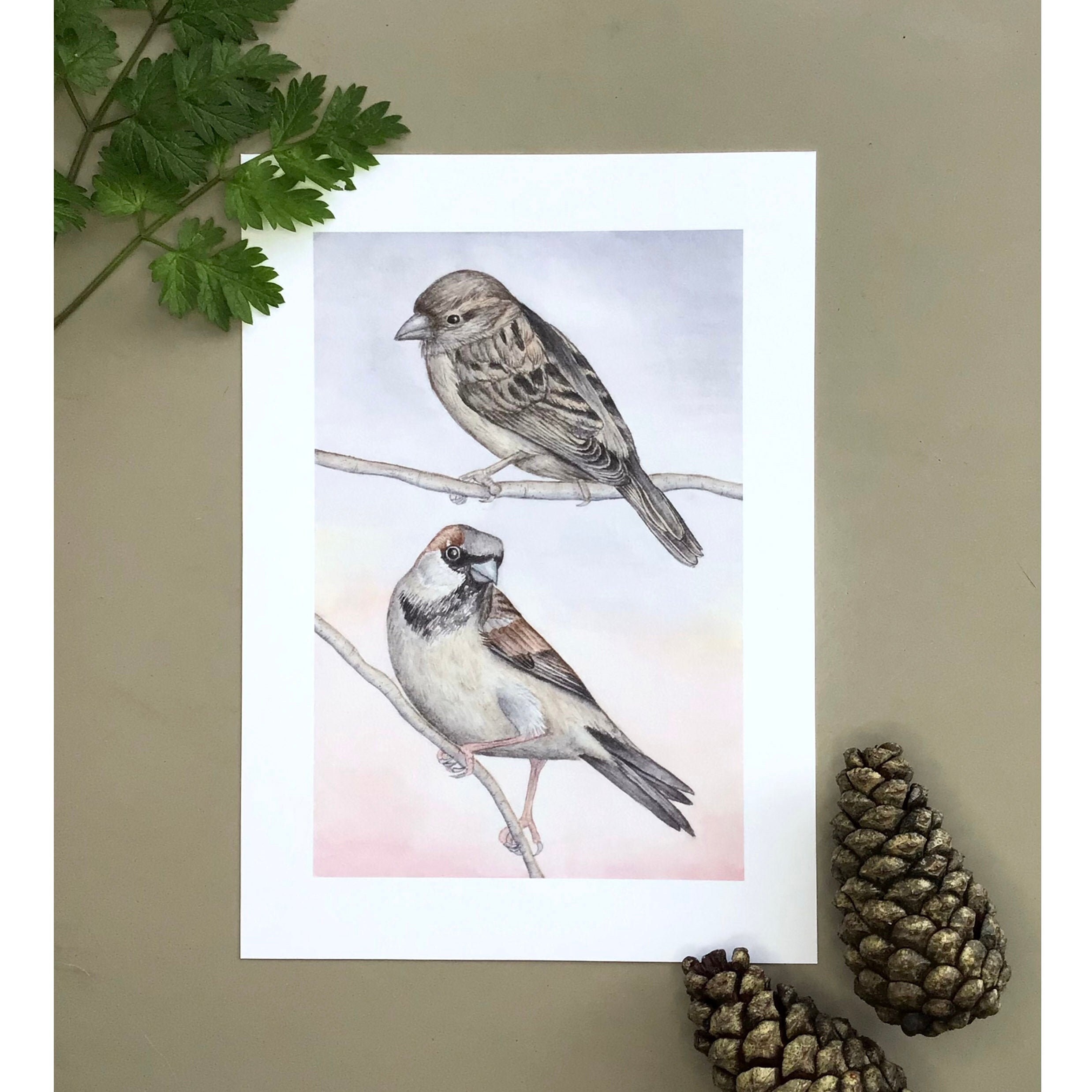 Sparrow Art Print / 5 by 7 Giclée Print of an Original Watercolour ...