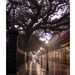 Print Jackson Square New Orleans - Etsy