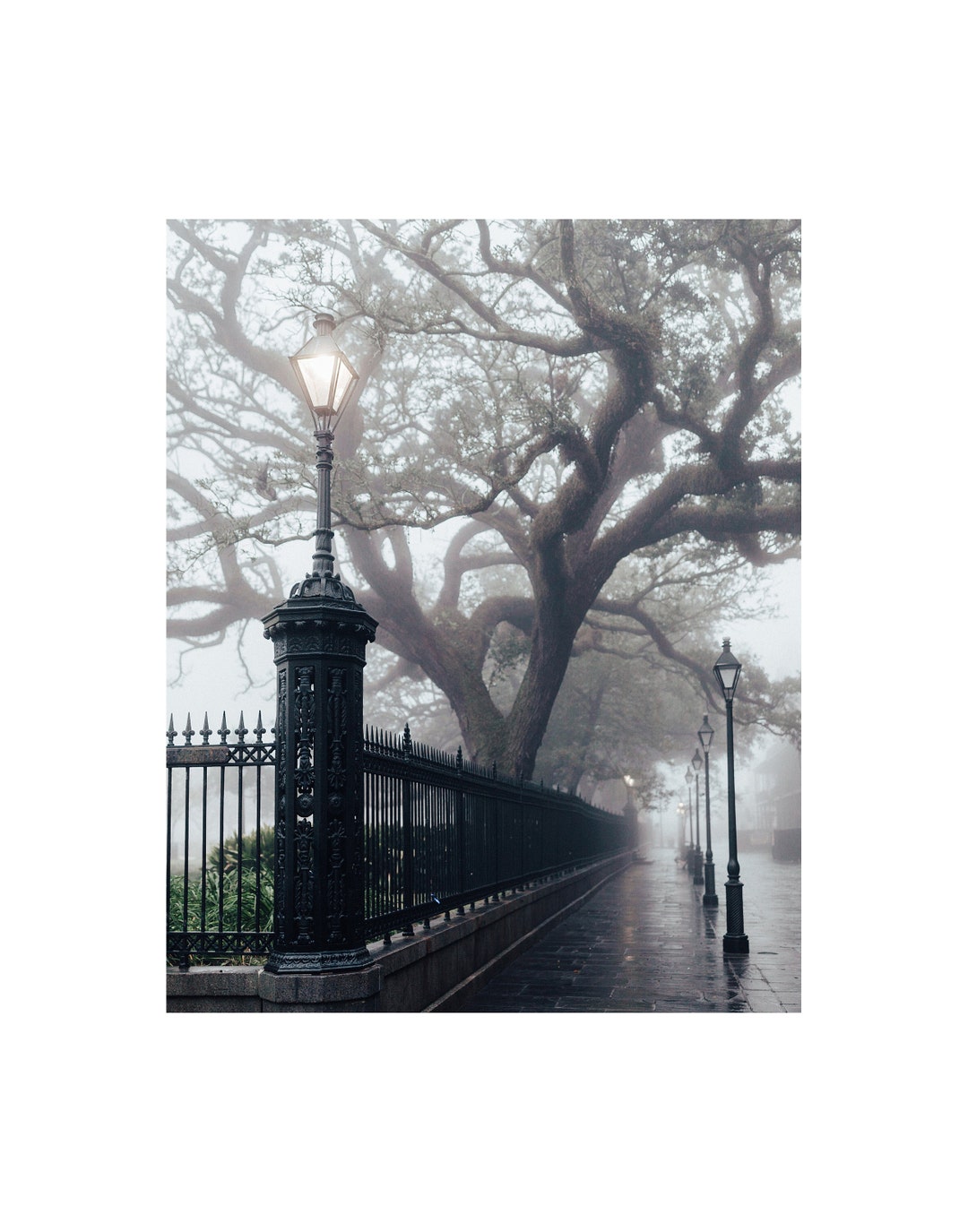 Print Jackson Square Oak New Orleans - Etsy
