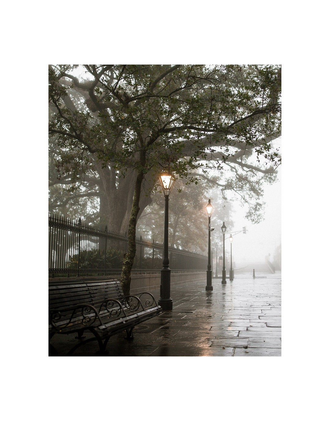 Print Jackson Square New Orleans - Etsy