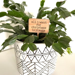Christmas Wood Plant Markers| Plant Markers| Plant Holiday Gift | Boho ...