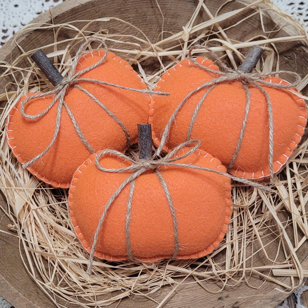 Set of 3 Pumpkin Bowl Fillers, Orange Felt With Jute Bows, Natural Twig ...