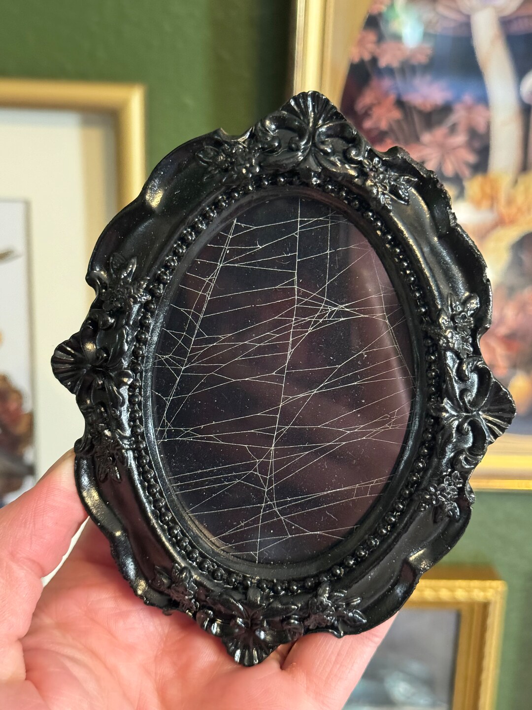 Preserved Spider Web Mini Frame - Etsy