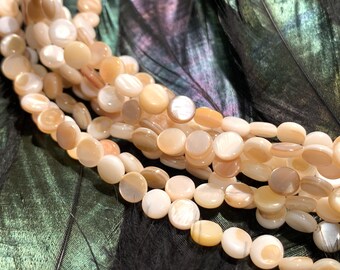 Flat Round Shell - Etsy