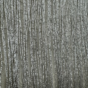 Dancewear Fringe, Festival Fringe, Silver Fringe, Lurex Fringe, Silver ...