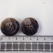 6pcs - Horn Buttons, 4-hole 25mm 40L, Large Buttons, Multi Colour ...