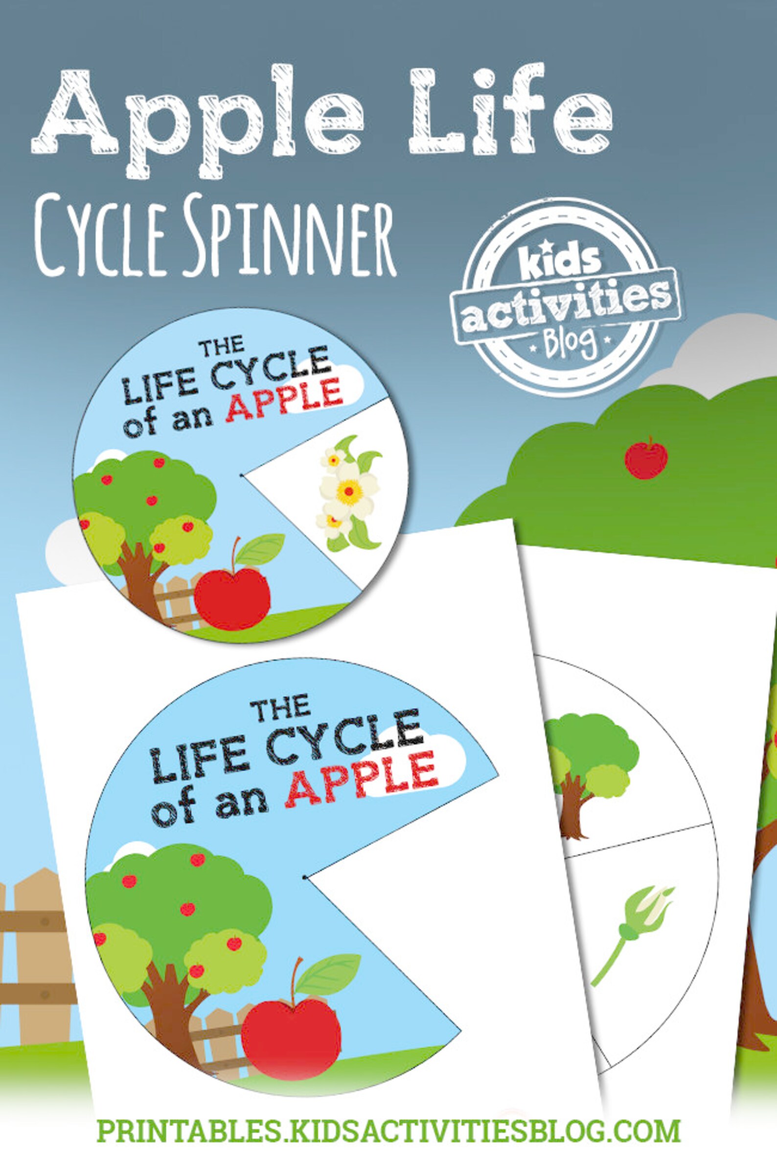 Apple Life Cycle Spinner Printable Science Activity for Kids - Etsy