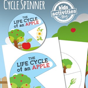 Apple Life Cycle Spinner Printable Science Activity for Kids - Etsy