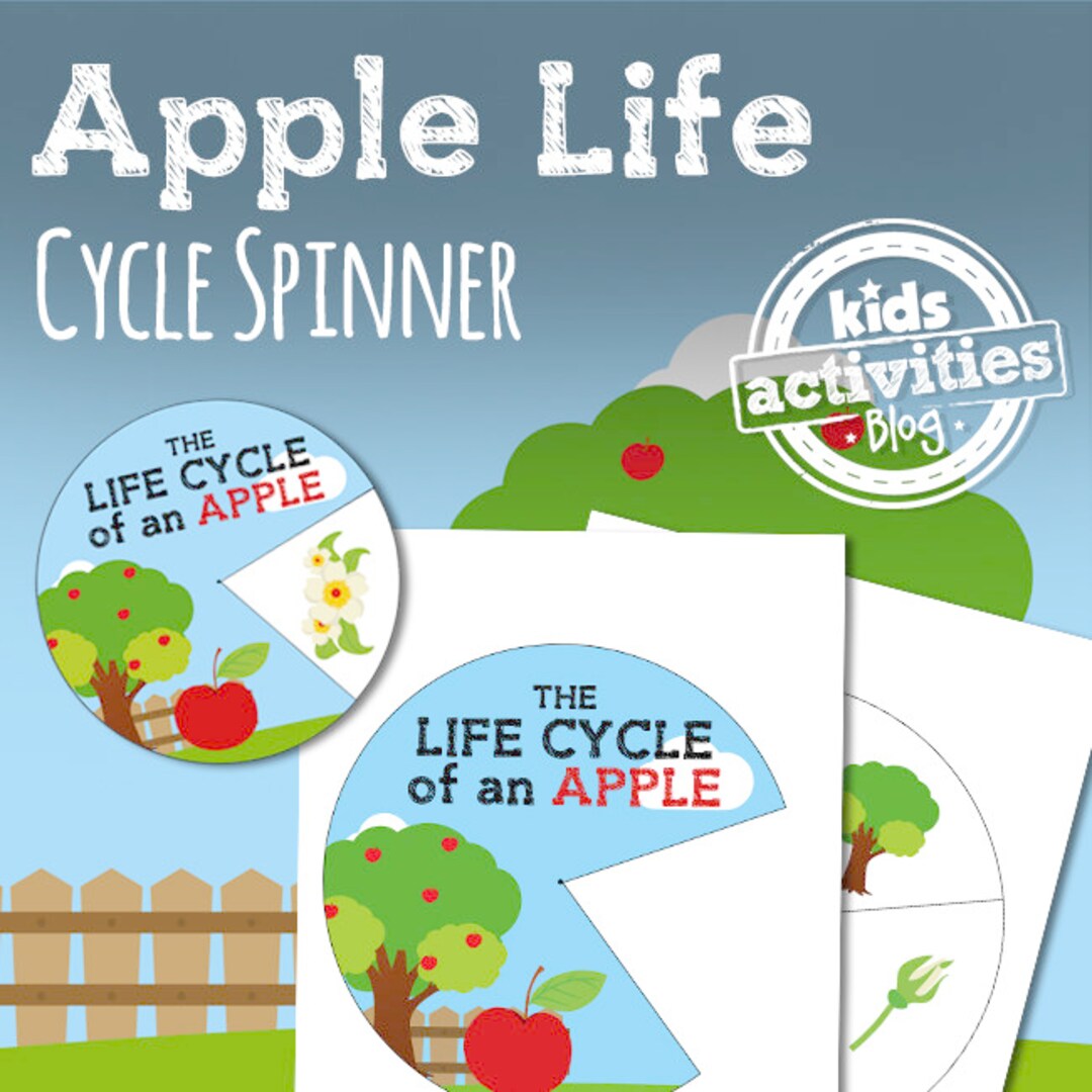 Apple Life Cycle Spinner Printable Science Activity for Kids - Etsy