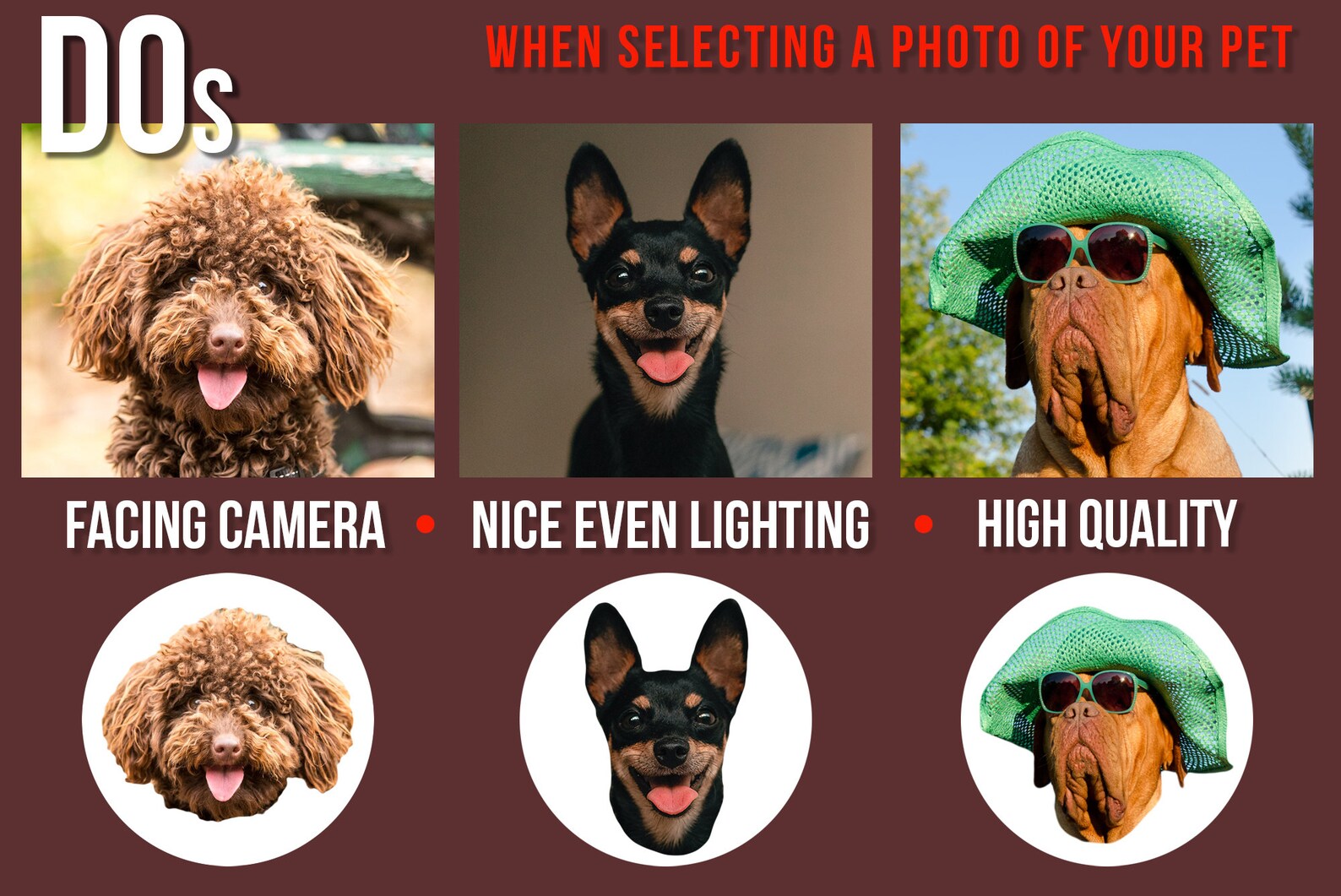 Personalized Dog Grandma Gift Dog Photo Gift Custom Dog - Etsy