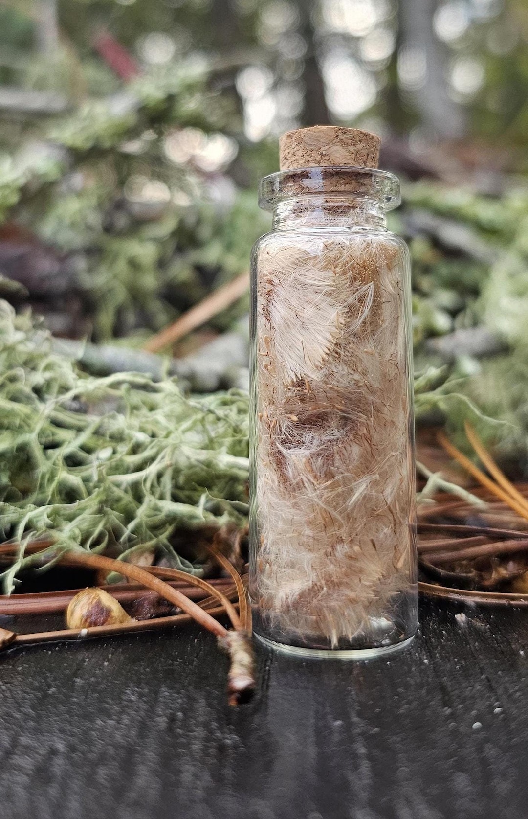 Dried Cattail Fluff in Glass Vial: Apothecary Altar Decor - Etsy