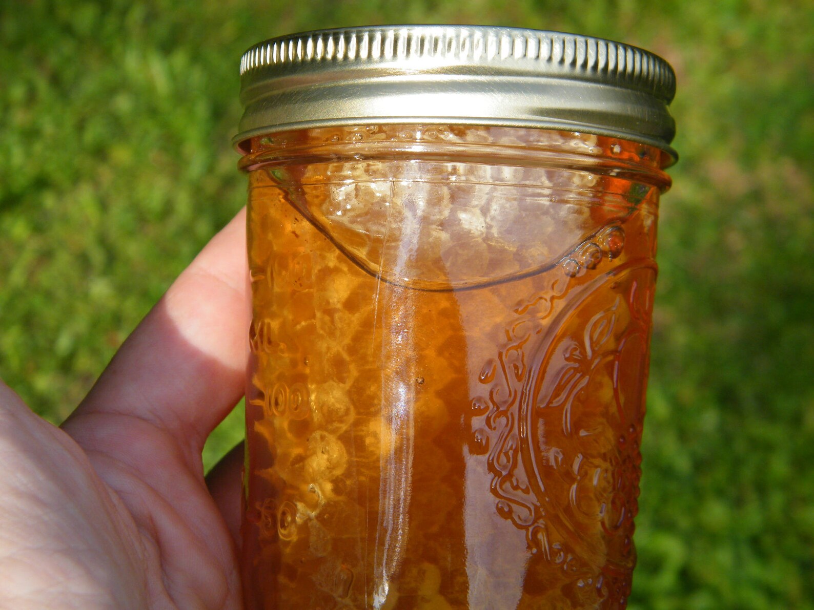 Honeycomb Raw Organic Comb Honey Eco Gift All Natural - Etsy