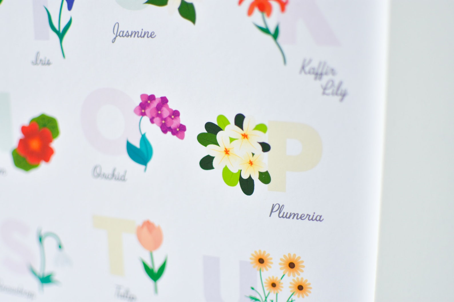 Digital Download Flower Alphabet / Nursery Decor / Playroom - Etsy