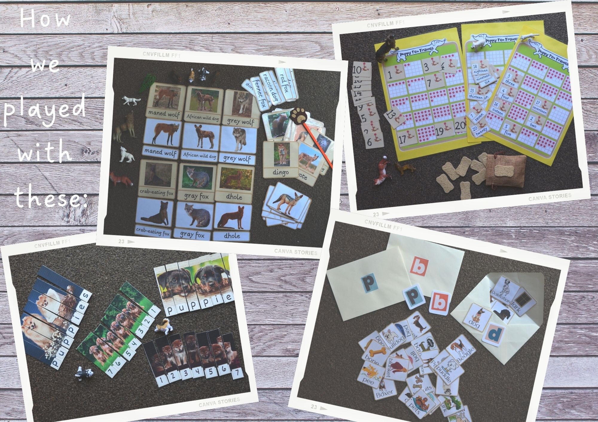 Puppy & Canine Activity Printable Pack, Bundle, Homeschool, Montessori ...