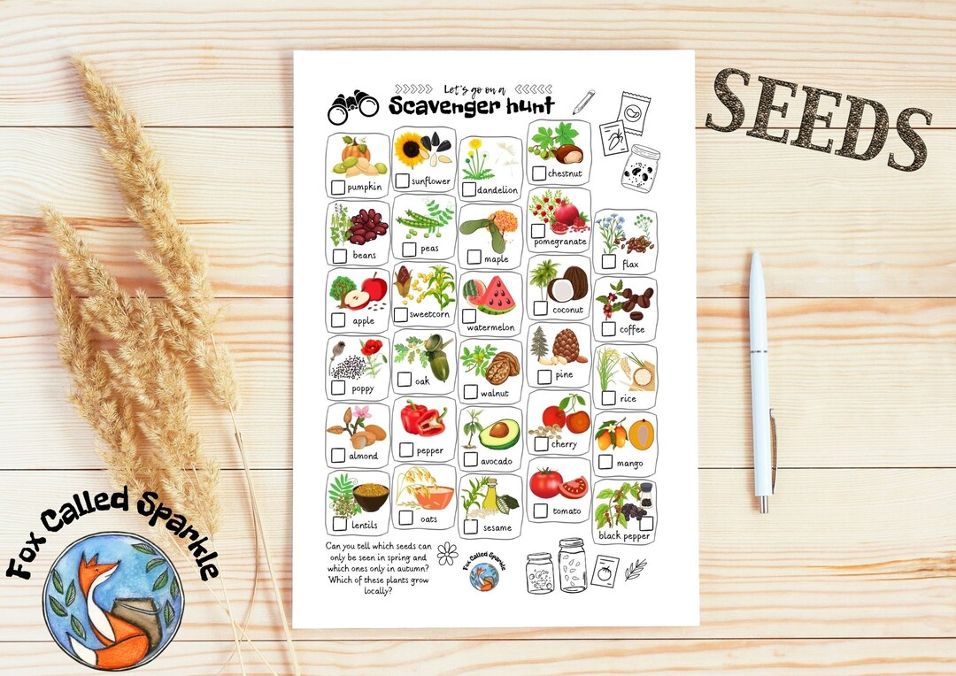 SCAVENGER HUNT Seeds in Kitchen and Garden, Worksheet, Printable ...