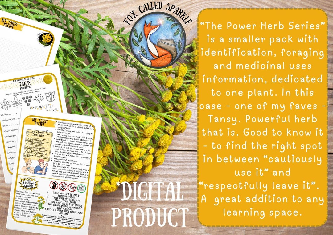 Tansy HERBAL WORKSHEETS for Kids - Nature Learning Activities ...
