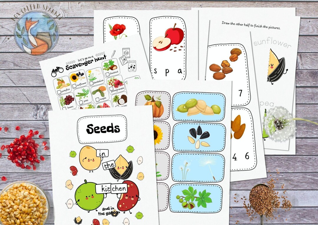 SEEDS Printable, Nature Study, Study Unit, Activity Pack, Homeschool ...
