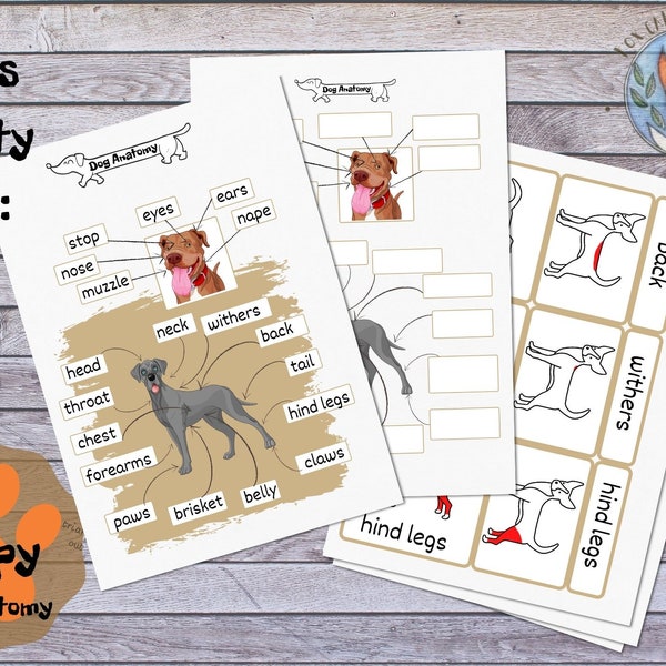 Teaching Resources - Etsy