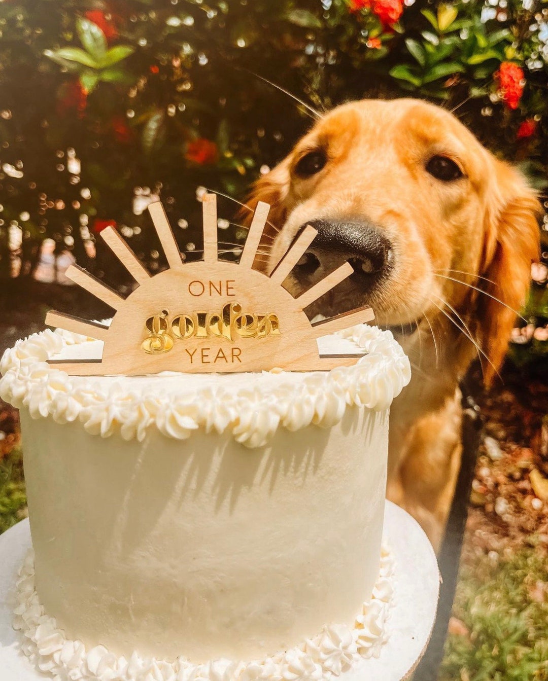Golden Sun First Birthday Cake Topper: Wooden & Gold Acrylic - Etsy