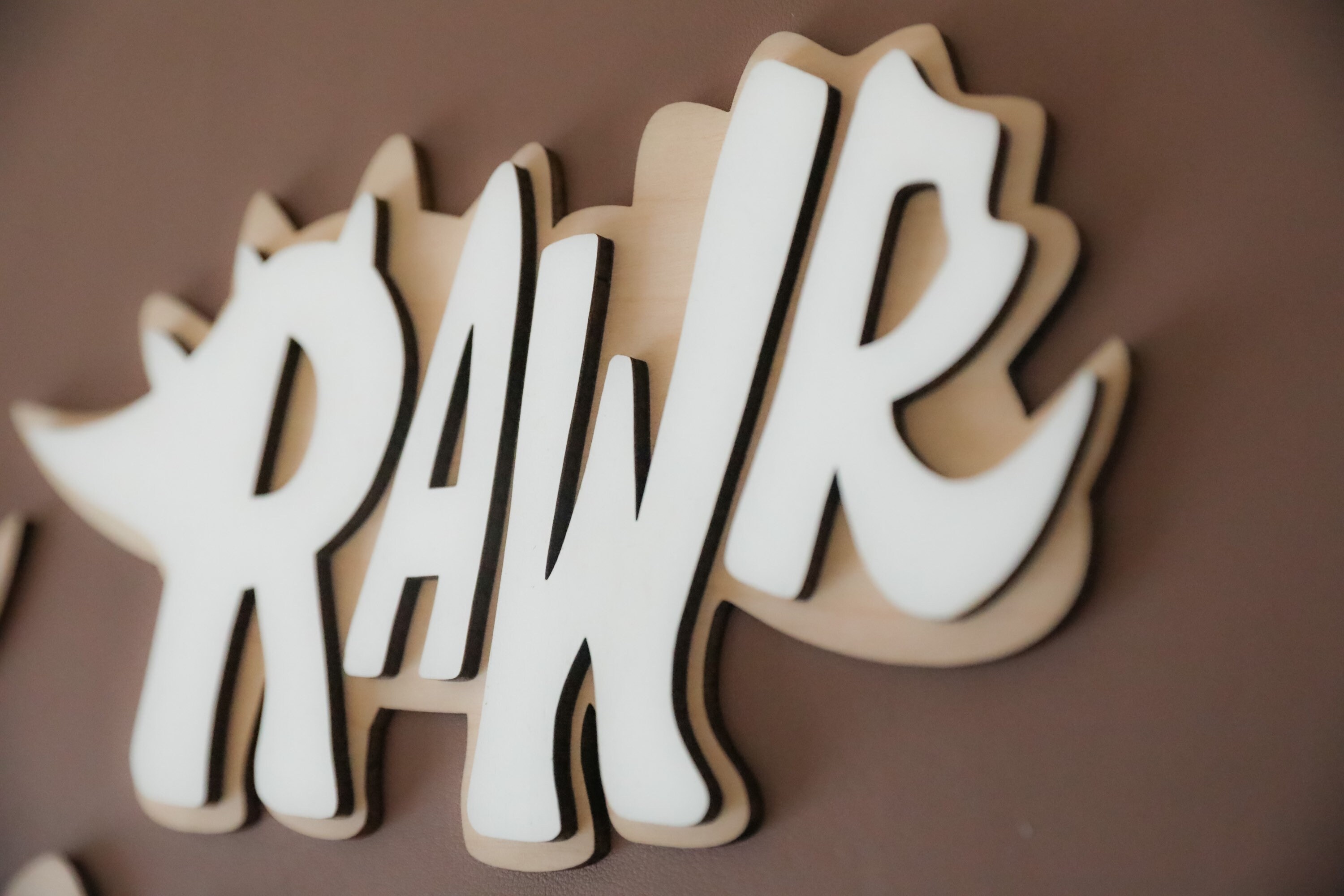 Dinosaur Wall Decor Dino Sign Dinos Dino Wall Decor - Etsy