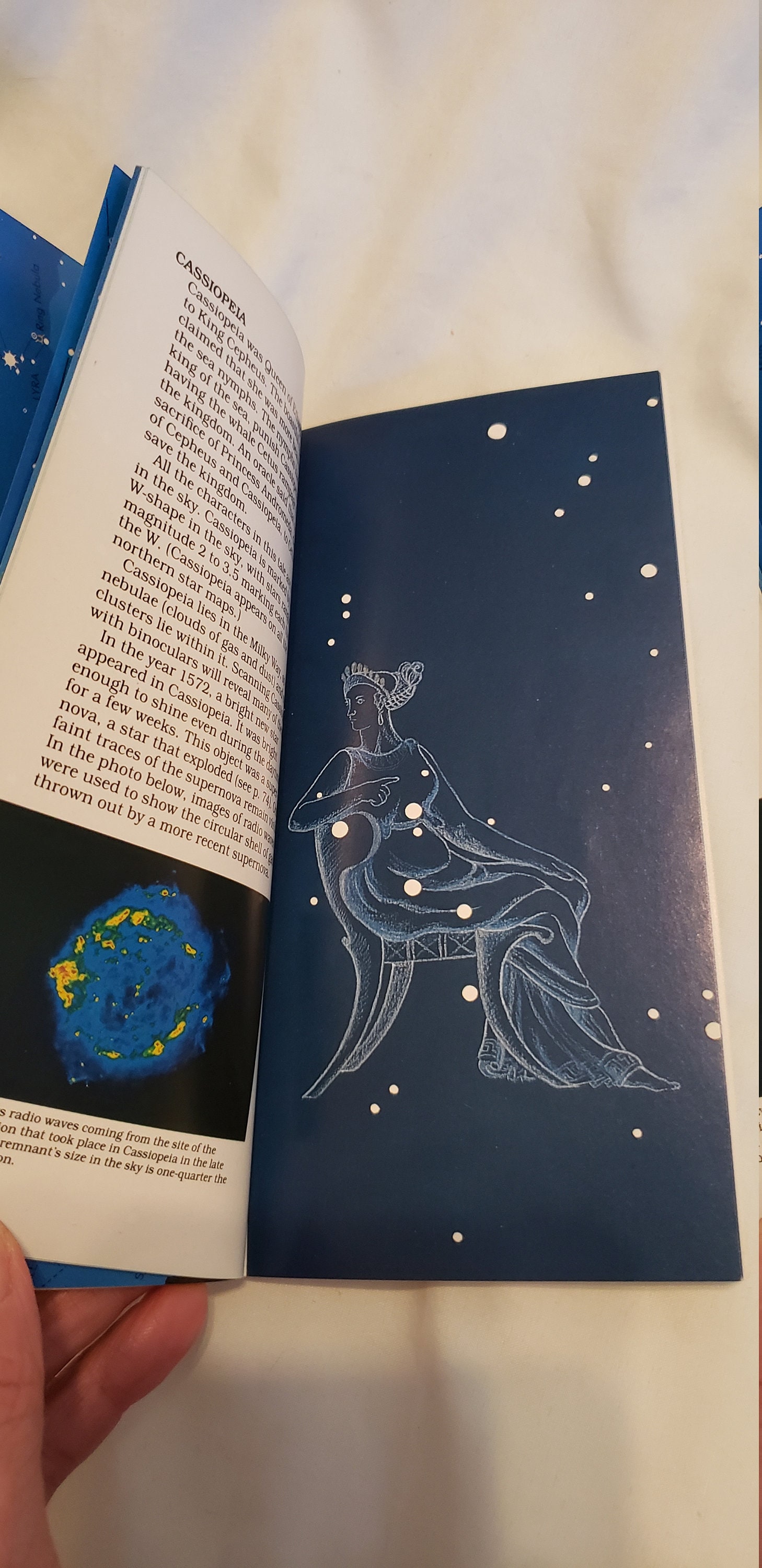 Peterson First Guides Astronomy - A Simplified Field Guide to the Stars ...