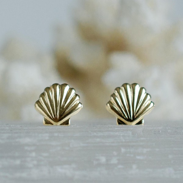 Tiny Shell Earrings - Etsy