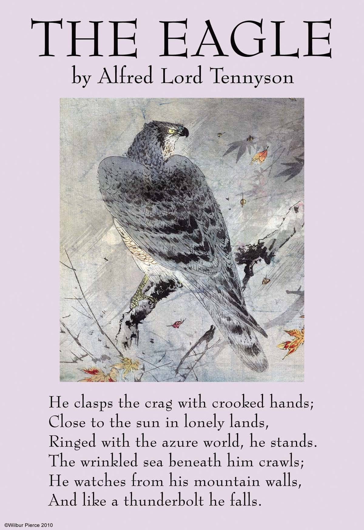 The Eagle (alfred Lord Tennyson) - Canvas Art Print - Etsy