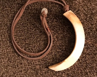 Wild boar teeth | Etsy