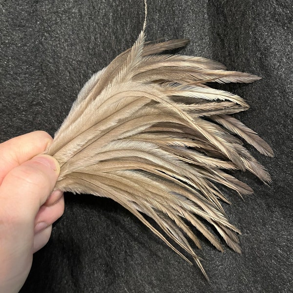 Emu Feathers - Etsy