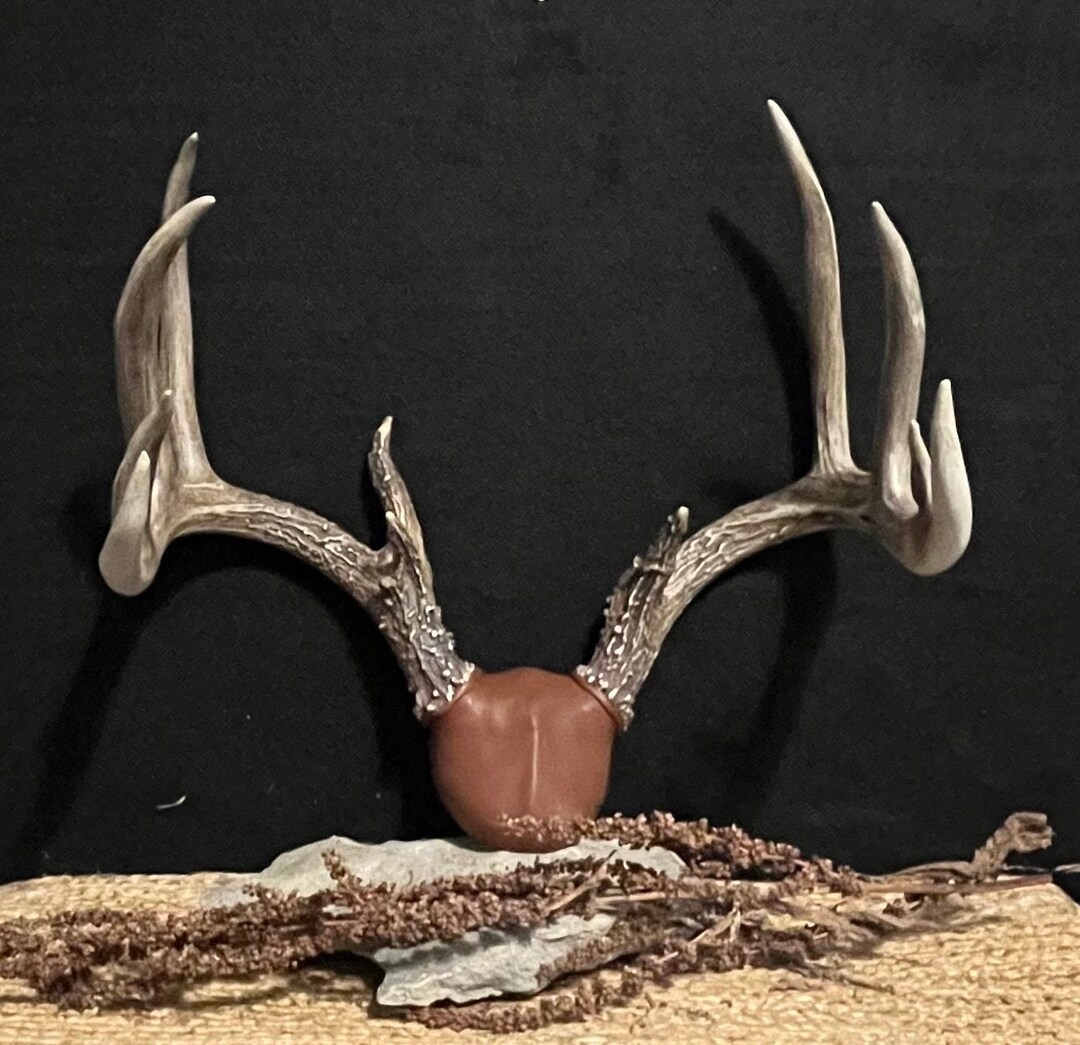 Heavy 148 Inch Whitetail Deer 10 Point Antler Mount - Etsy