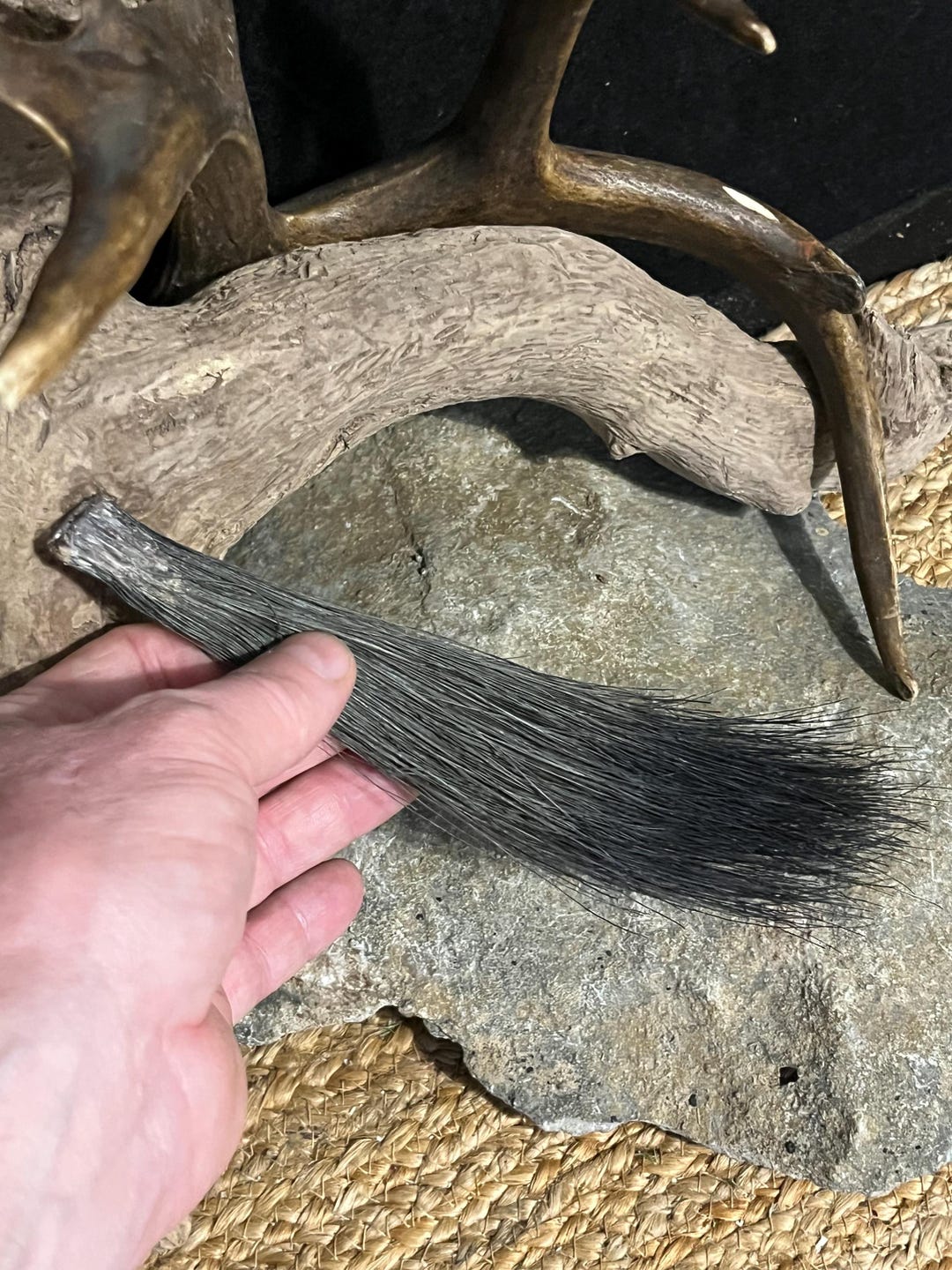 Genuine 9 1/2 Inch Wild Turkey Beard - Etsy