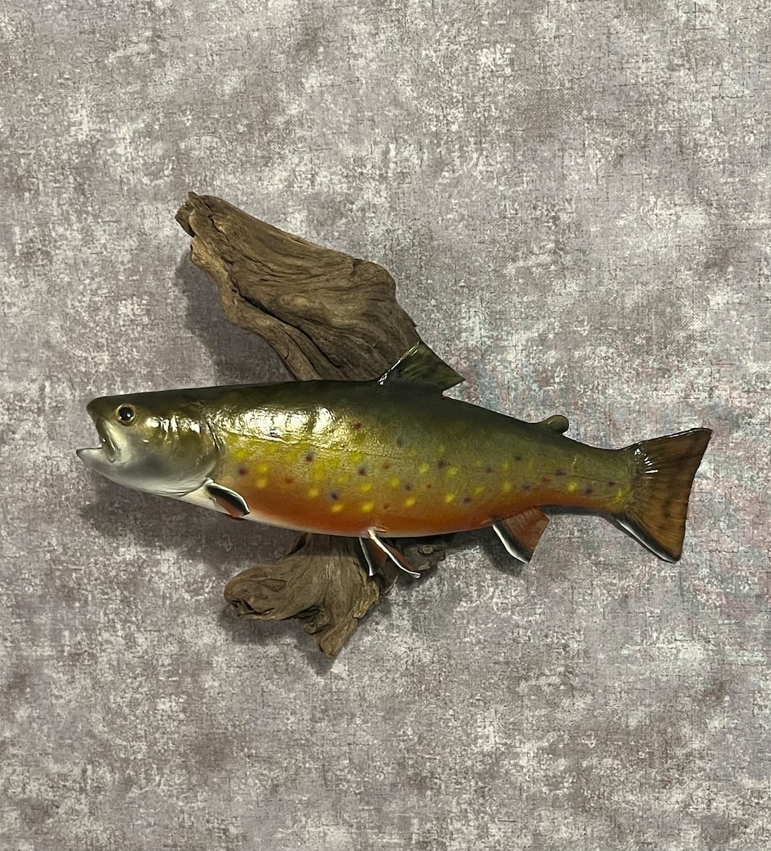 Brook Trout REAL SKIN Taxidermy FISH Mount - Etsy