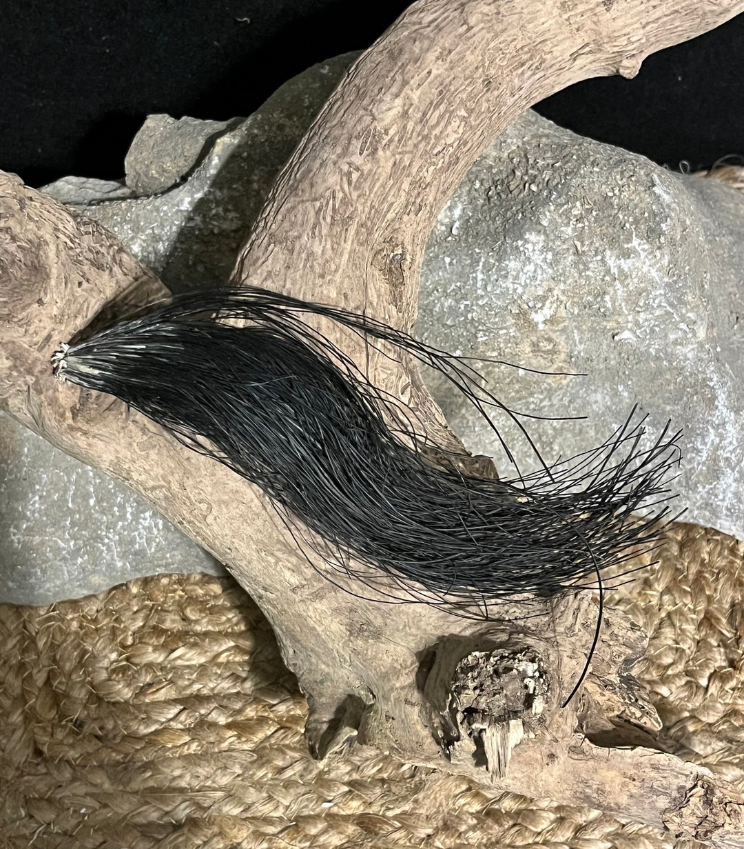 Genuine 8+ Inch Wild Turkey Beard - Etsy