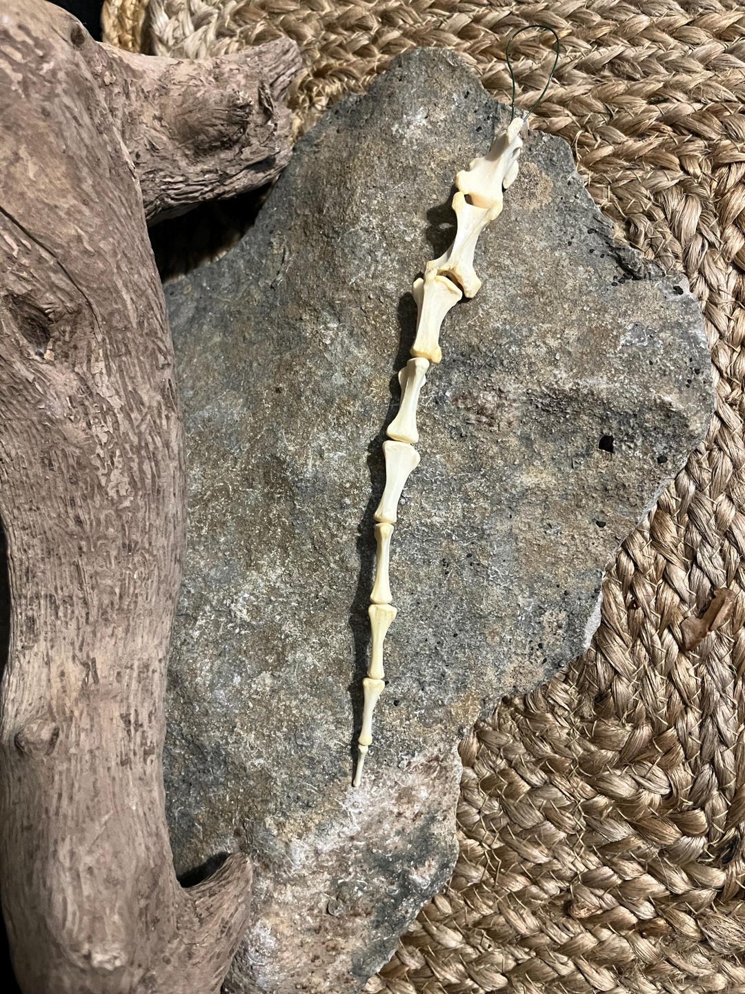 Articulated Whitetail Deer Tail - Etsy