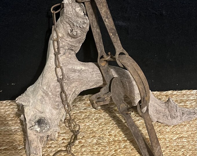 Vintage Steel Animal Trap - Etsy
