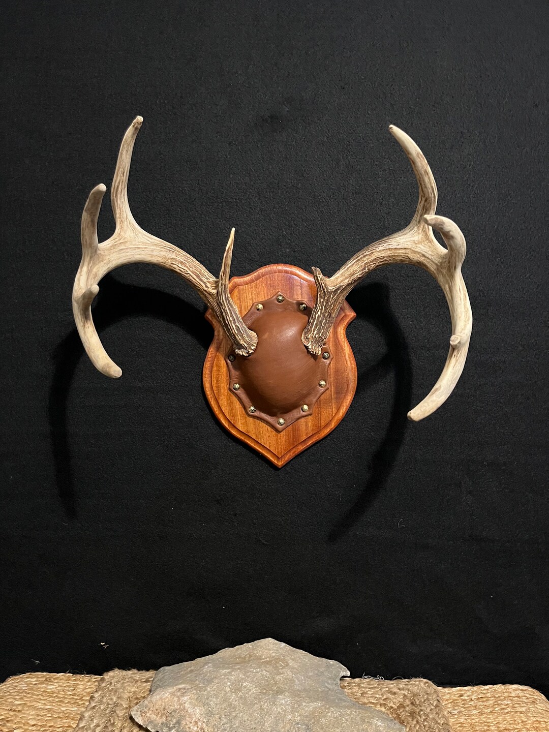 Whitetail Deer 10 Point Antler Mount - Etsy