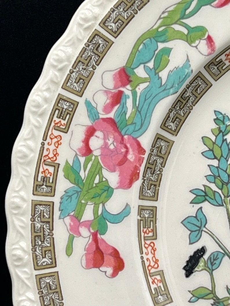 Indian Tree by Myott & Son Salad Plates Sold Individually - Etsy