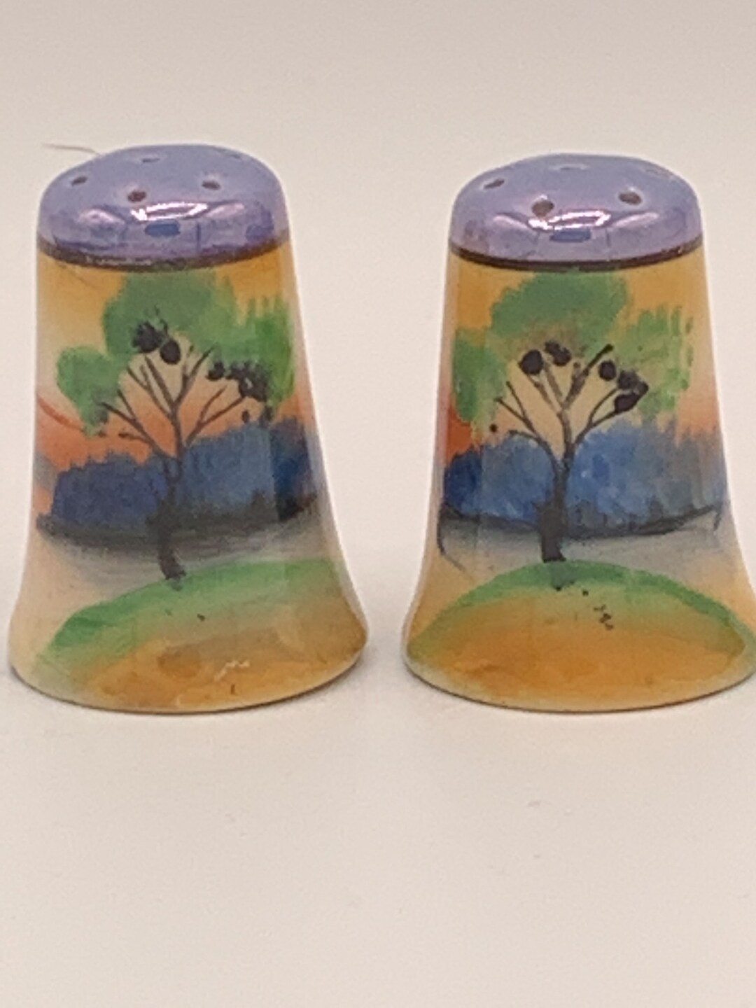 Charming Vintage Mini Salt & Pepper Blue Luster Top - White W Tree and ...