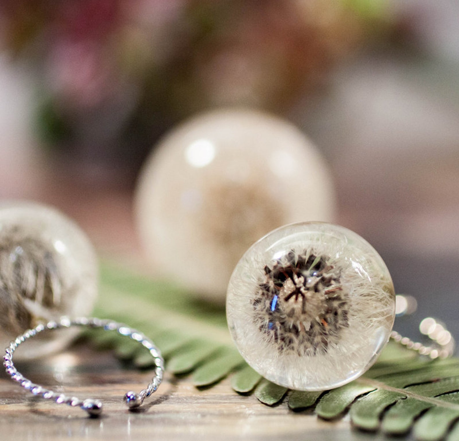 Real Dandelion Ring, Botanical Ring, Dandelion Ball, Resin Plants ...