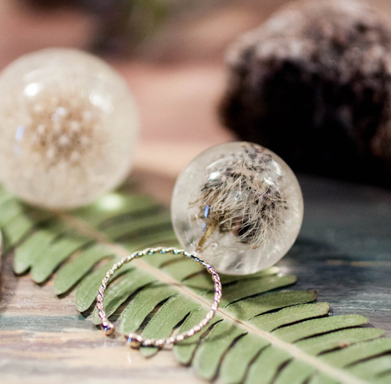 Real Dandelion Ring, Botanical Ring, Dandelion Ball, Resin Plants ...