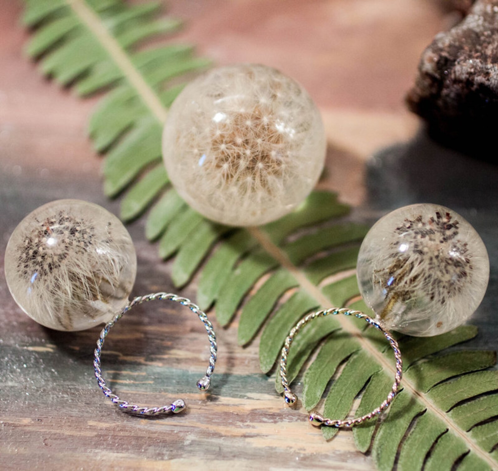 Real Dandelion Ring, Botanical Ring, Dandelion Ball, Resin Plants ...