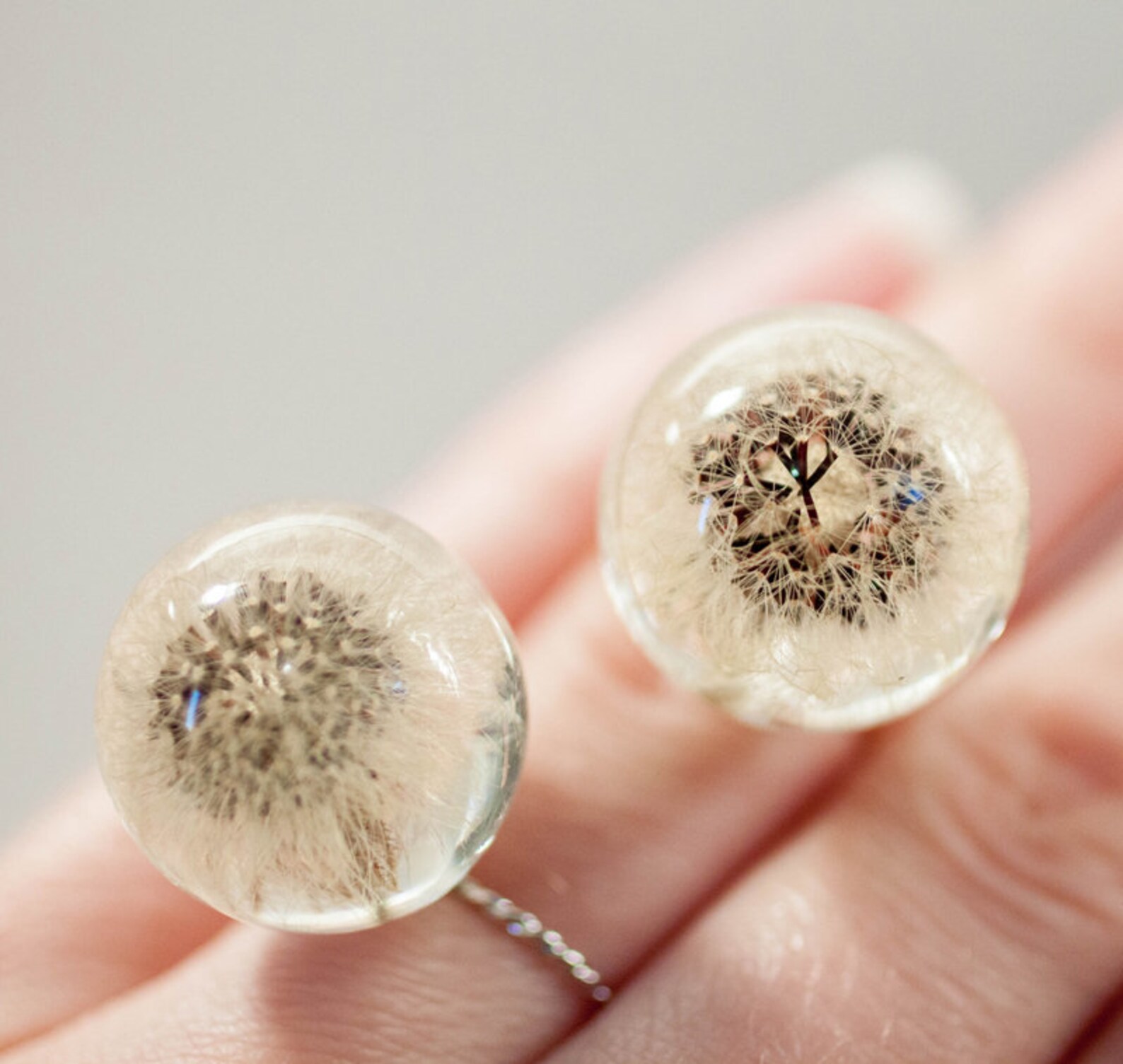 Real Dandelion Ring, Botanical Ring, Dandelion Ball, Resin Plants ...