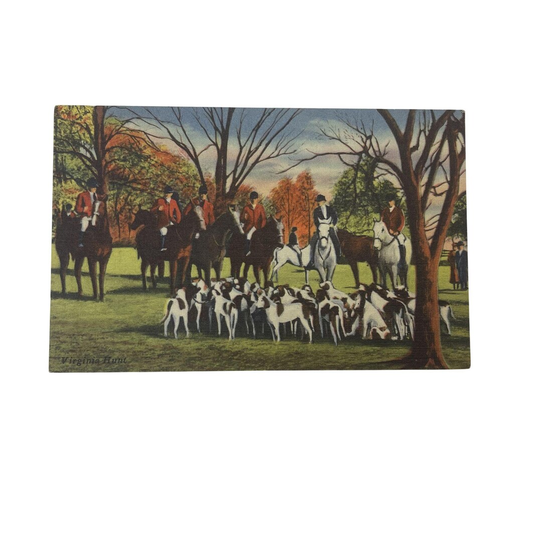 Vintage Virginia Hunt Postcard, 1940s Equestrian Sporting Art - Etsy