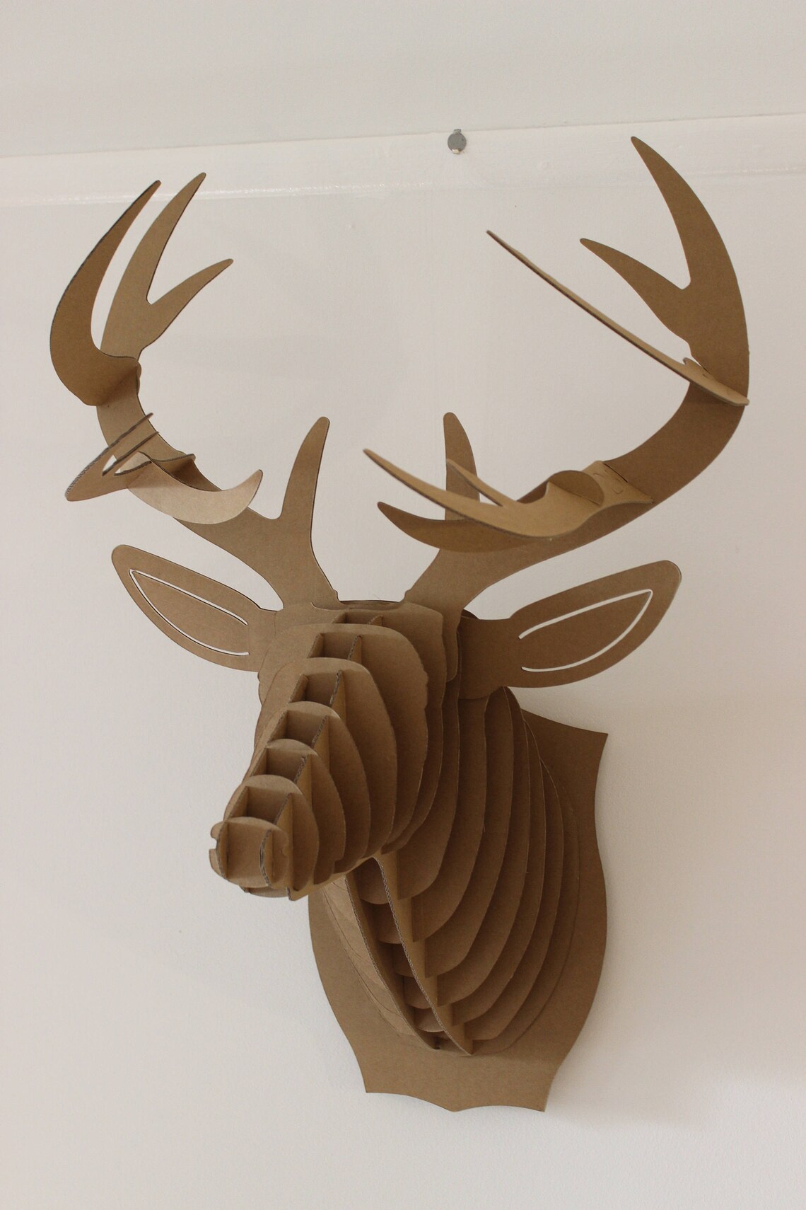 Big Buck Cardboard 3D Deer Head - Etsy Australia