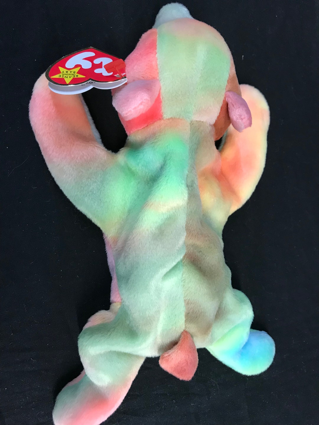 Ty Beanie Babies Sammy June 23 1998 Bear RARE ERRORS on Tag - Etsy