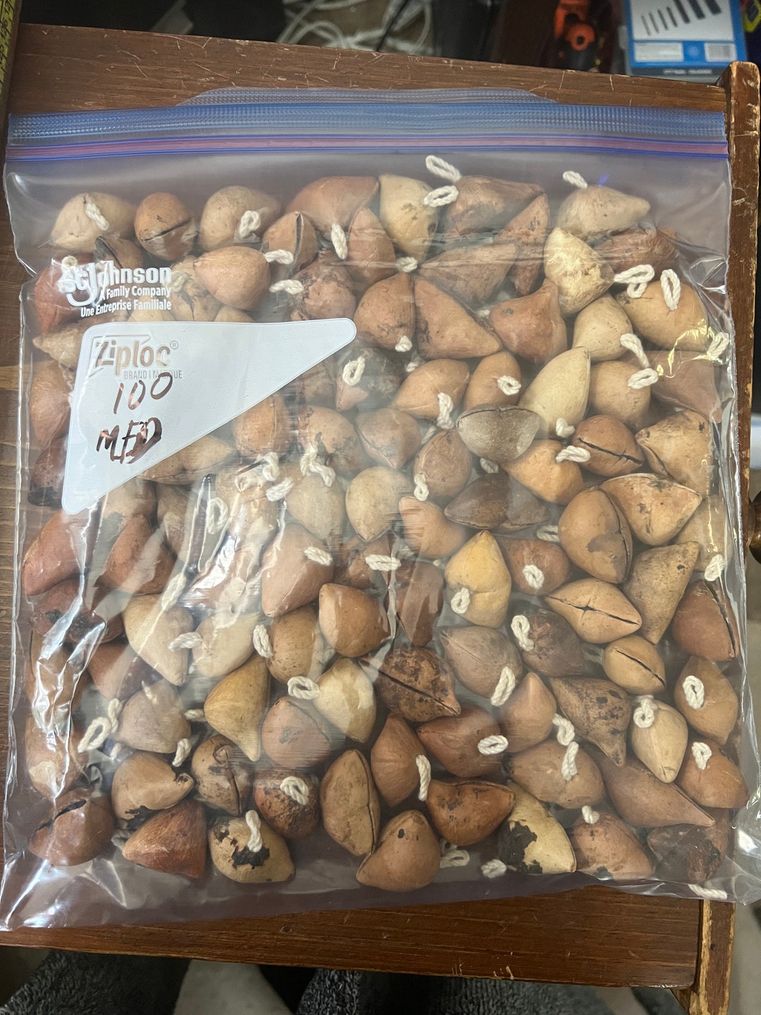 Medium 100 Ayoyotes With Bbs, Sonajeros, Aztec Rattle Shells, Shakers ...