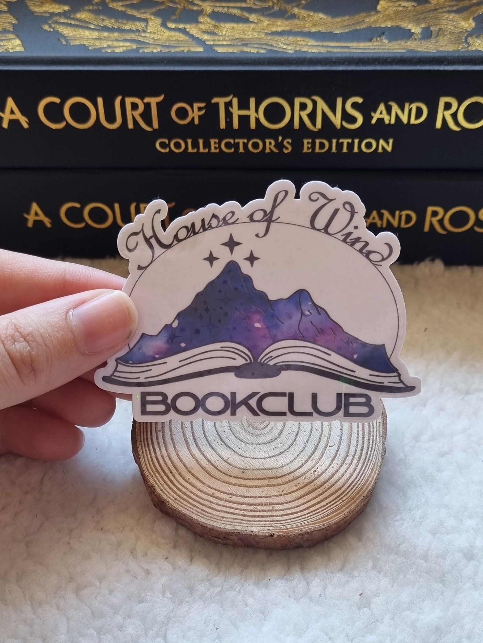 ACOTAR House of Wind officially Licensed Acotar Merch - Etsy