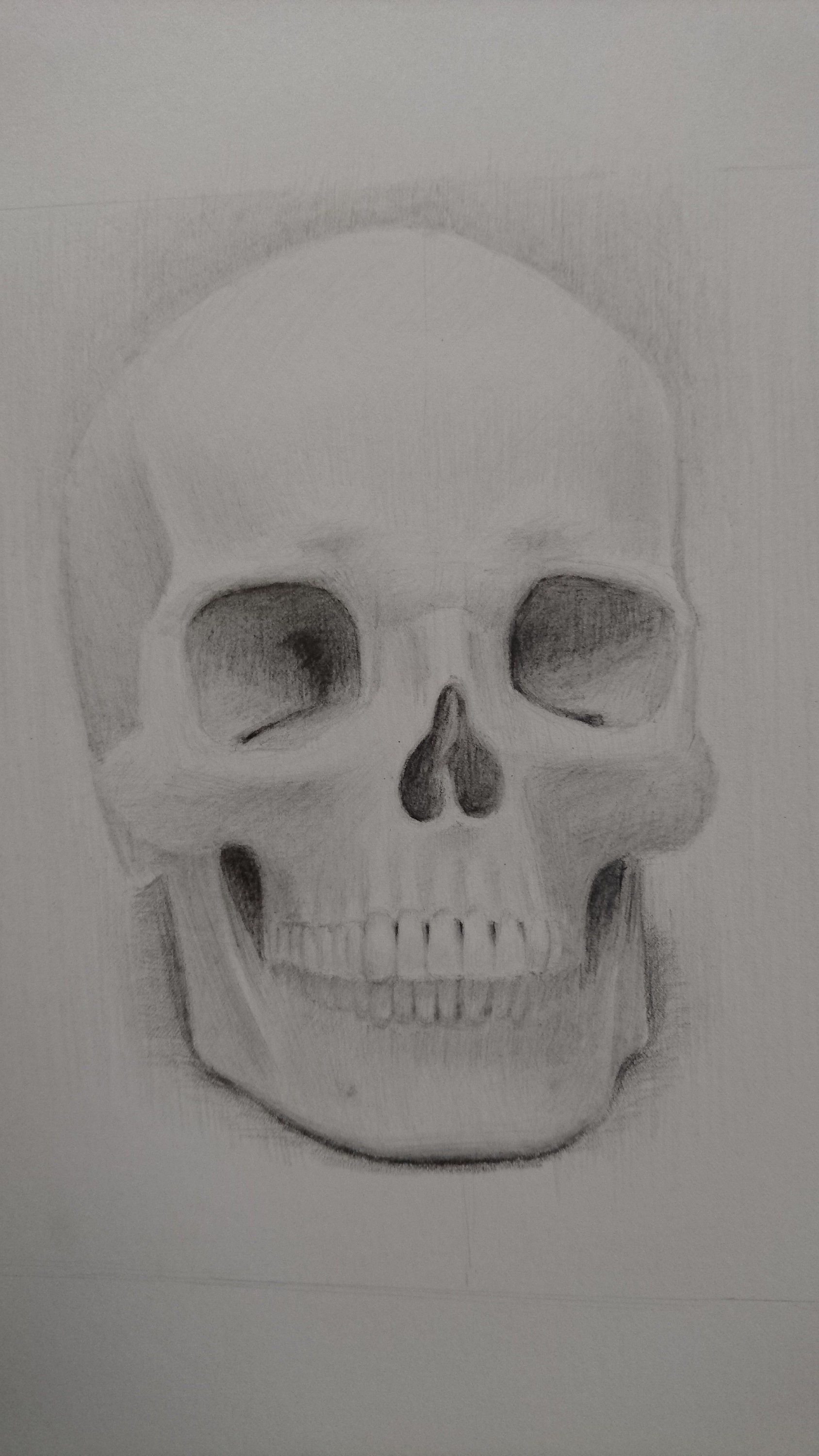 Skull Pencil Drawing Perfect Smile A4 - Etsy