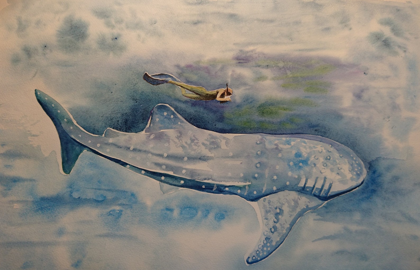 Open Ocean Deep Blue Sea Tiger Whale With Diver Artist Watercolour ...